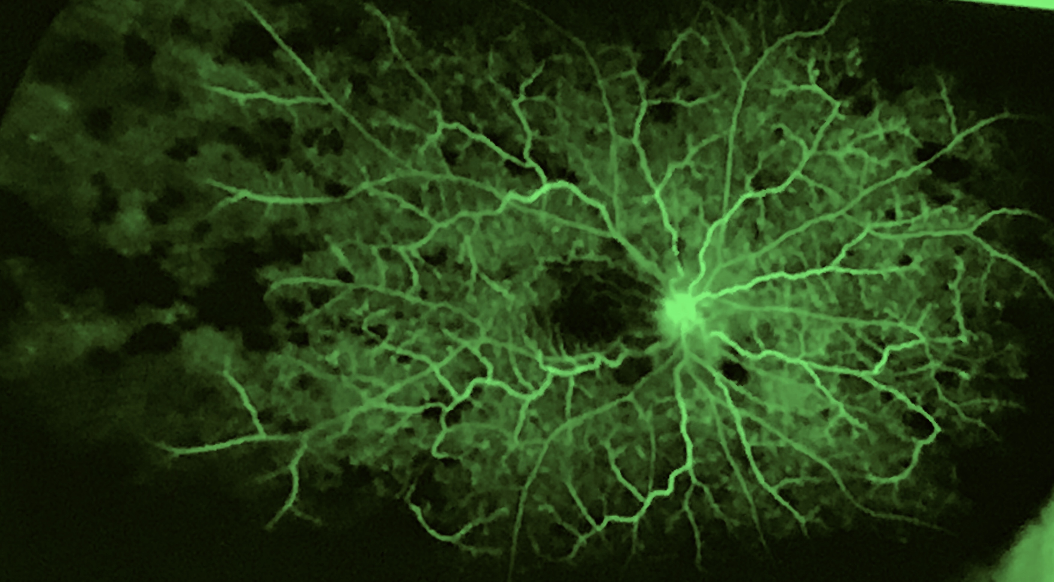 augenarzt reinickendorf/praxis